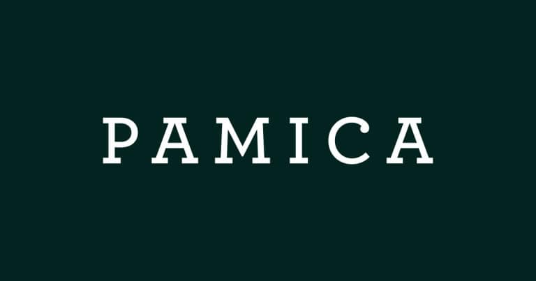 Invitation to presentation of Pamica Group´s year-end report 2024 – Pamica